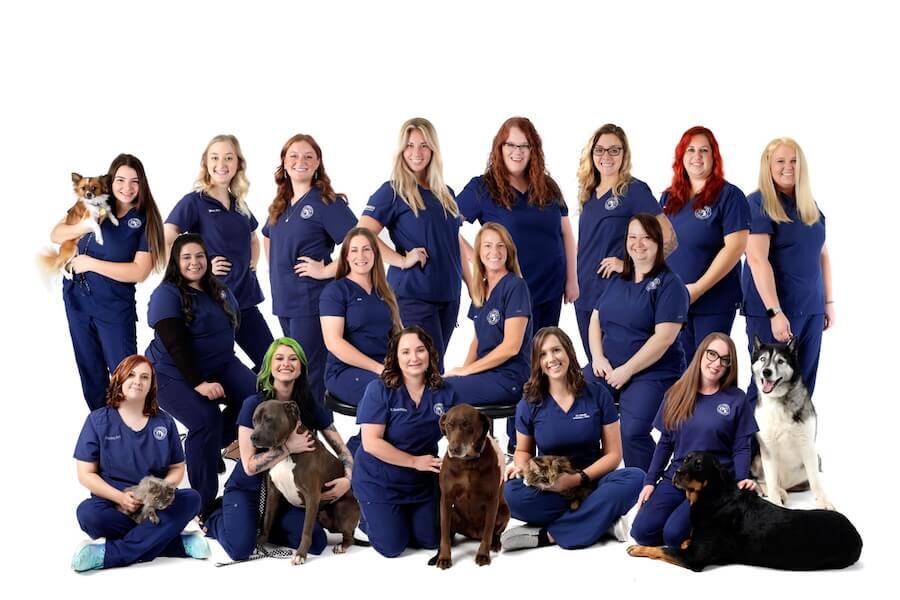 About Us | All Animals Veterinary Clinic